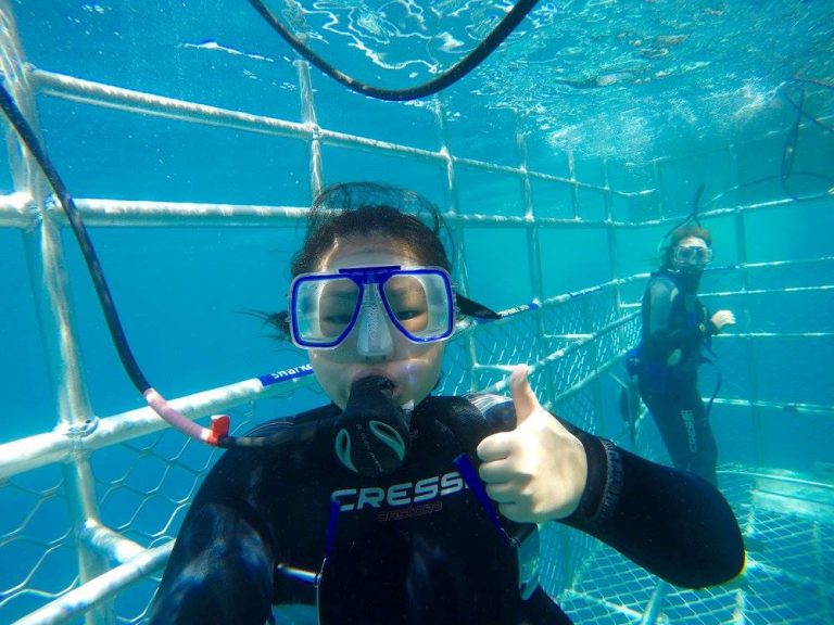 Meet Sarah: Jewish Shark Cage Diver of the Week - GatherDC